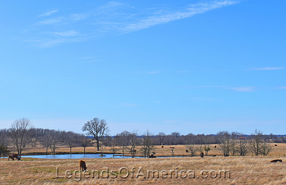 Legends of America Photo Prints | Eastern Oklahoma | Hugo, OK - Cattle ...